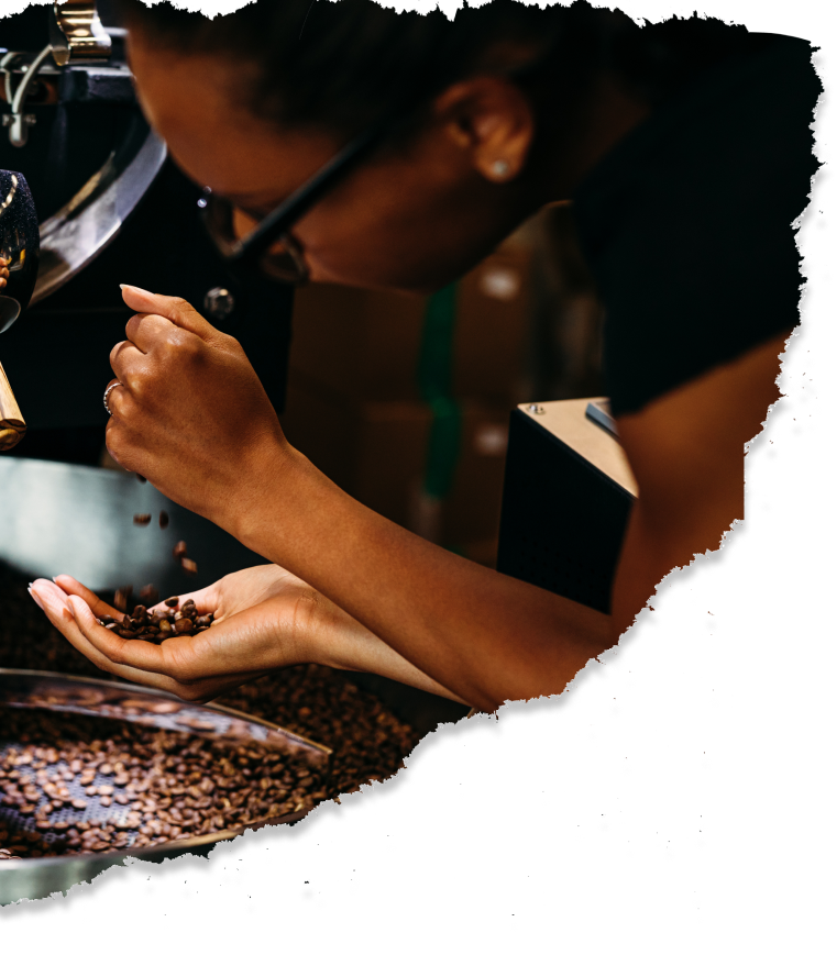 Organic Mocha Java Coffee - The Bean Coffee Company